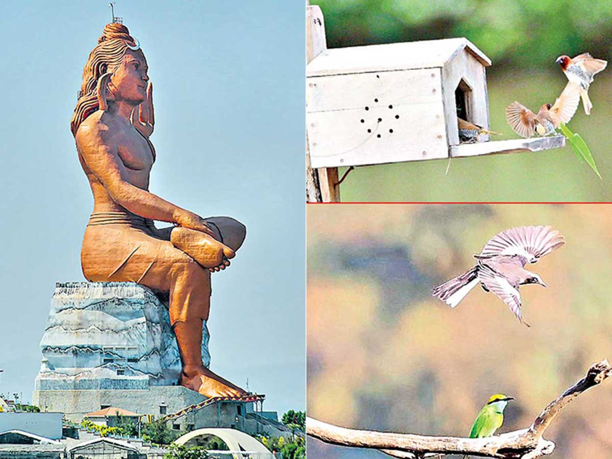 చిత్రం చెప్పే విశేషాలు..!(30-10-2022/1)